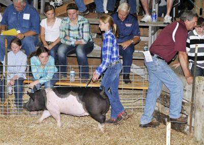 4-H Livestock Auction celebrates 50 years of supporting youth and 4-H ...