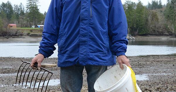 Little Skookum Shellfish Growers: Harvesting History | News ...