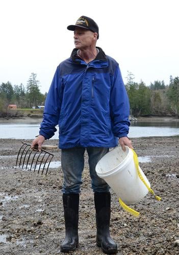 Little Skookum Shellfish Growers: Harvesting History | News ...