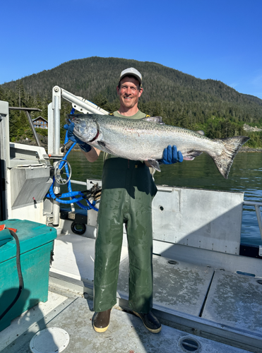 The Harbor Fish Co.'s Fresh Catches | Profiles | southsoundbiz.com