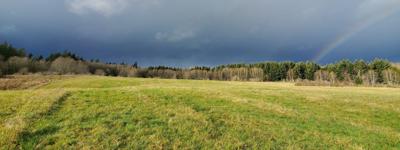 City of Lacey Invites Public Input on Open Greg Cuoio Park and ...