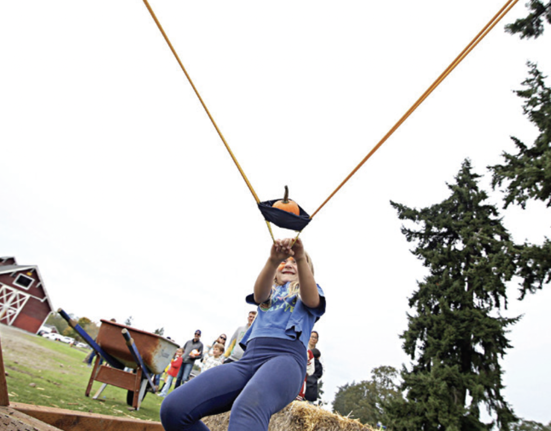 5 Community Events That Have Us Falling for Fall | Travel + Outdoors ...