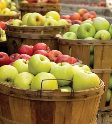 Drive The Fruit Loop | Travel + Outdoors | southsoundmag.com