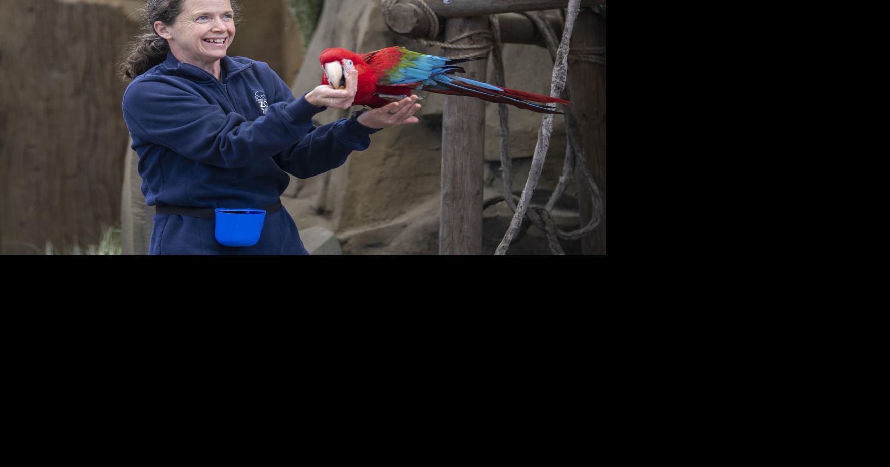 Point Defiance Zoo & Aquarium Wild Wonders Outdoor Theater | Travel ...