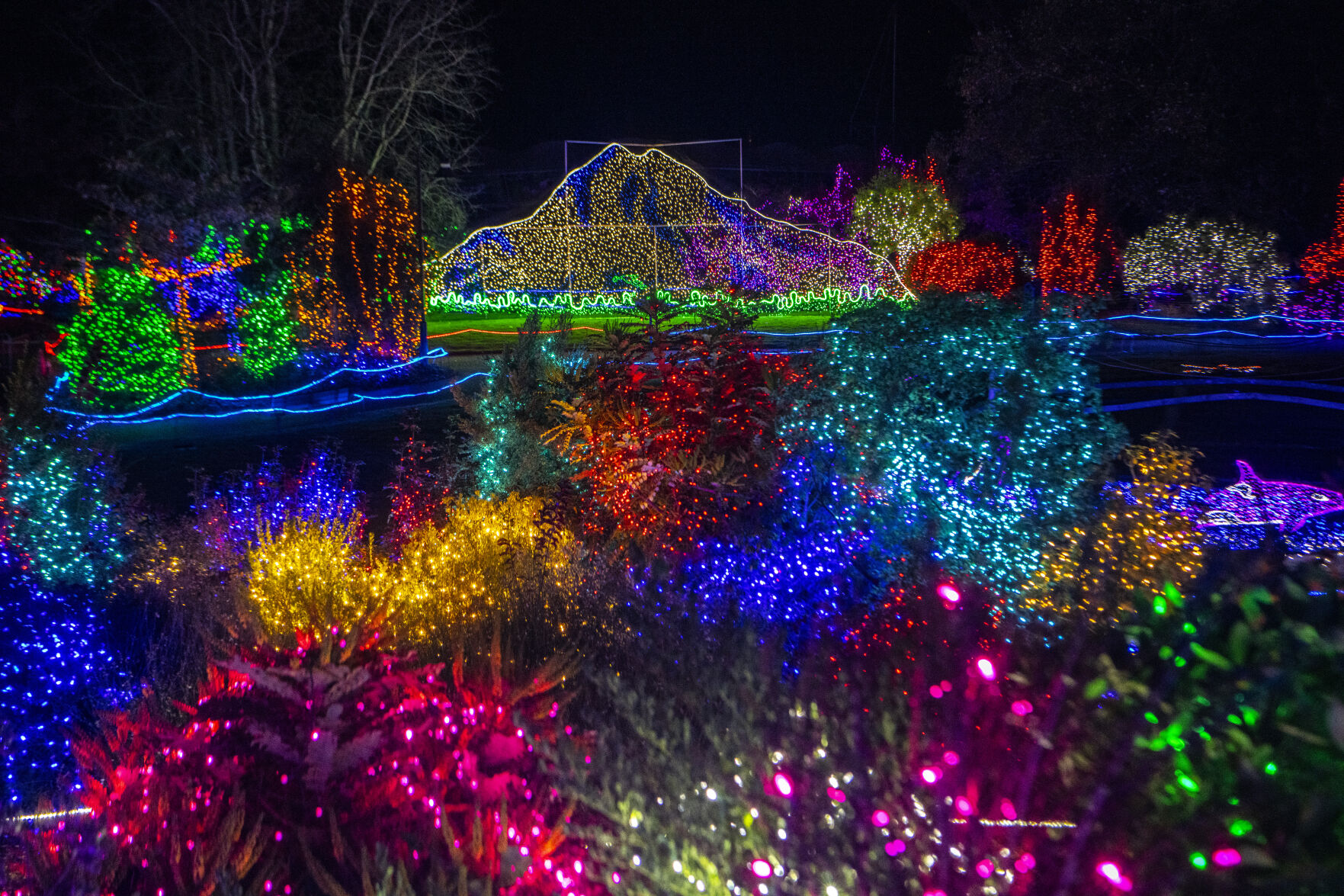 PDZA's Zoolights is Ready for the Holiday Season | Travel + Outdoors ...