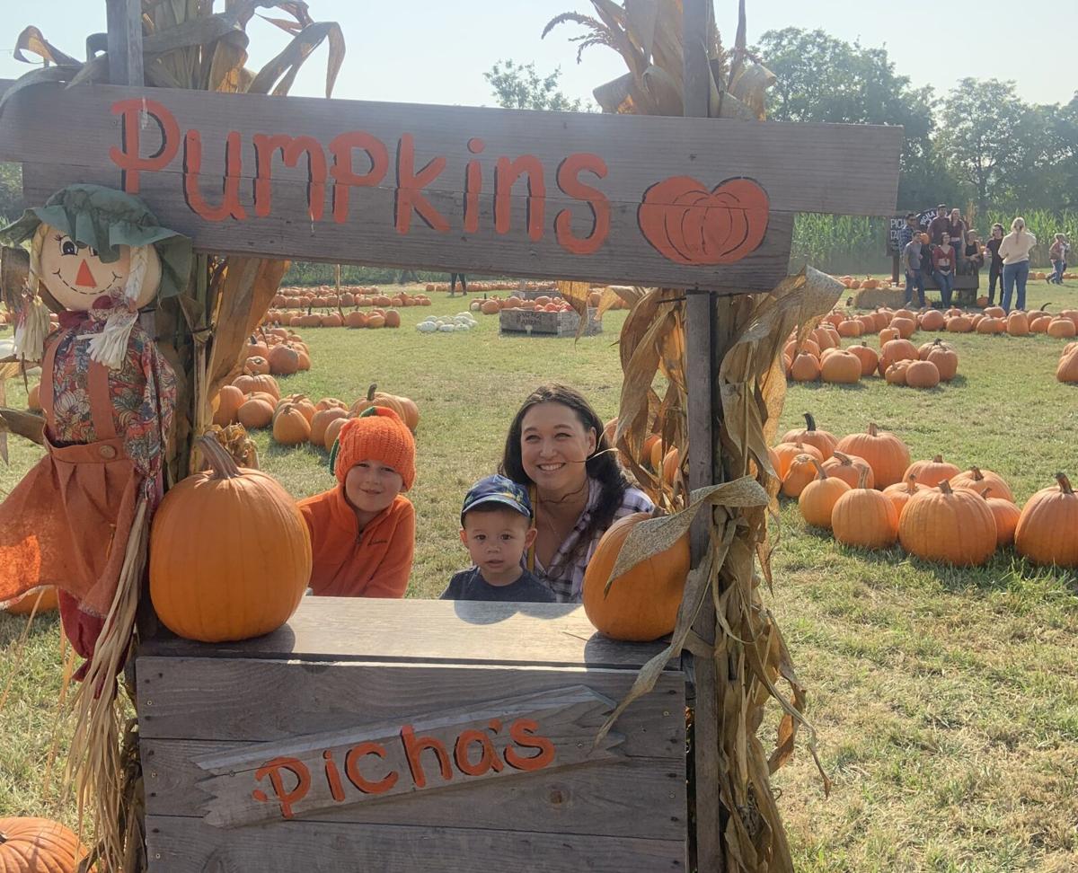 5 South Sound Pumpkin Patches to Experience | Top-five | southsoundmag.com