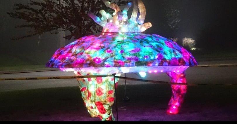 New Tacoma Light Trail Spreads Hope and Unity in Night Sky | A&E ...