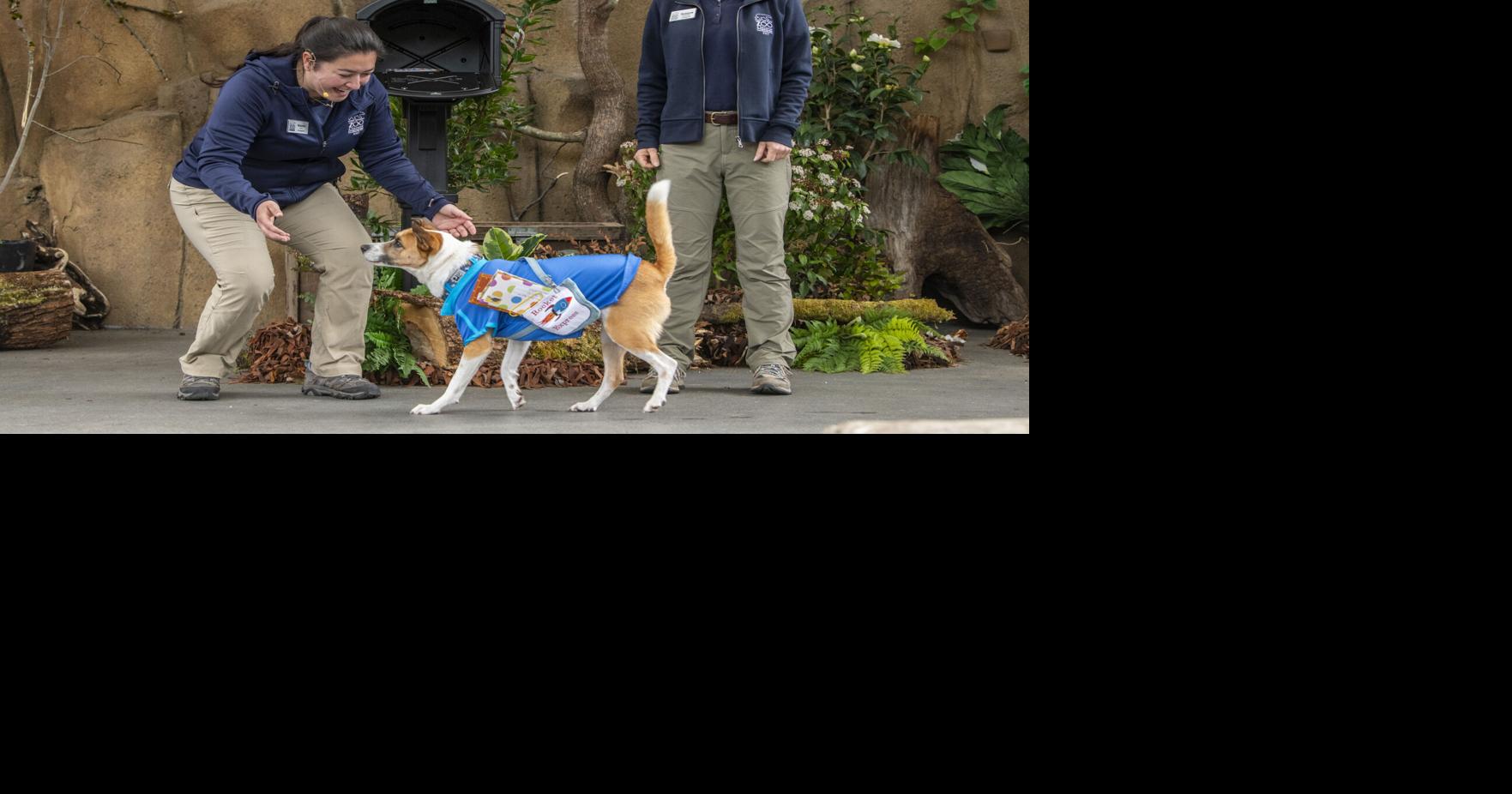 PDZA's ‘Zoo’s Got Mail’ Show Debuts | Travel + Outdoors | southsoundmag.com