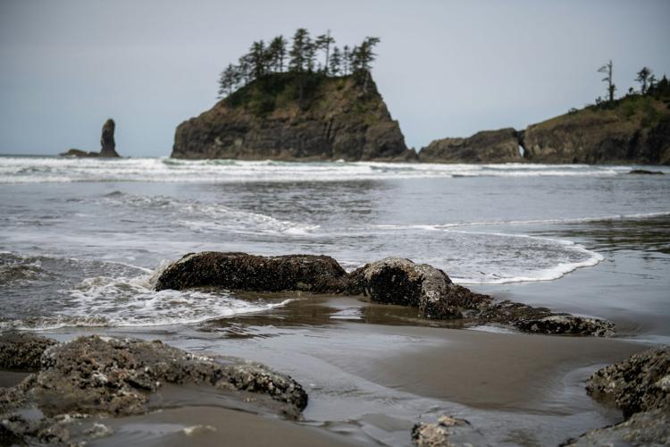 Feature: The New Peninsula Film Commission | Features | southsoundmag.com
