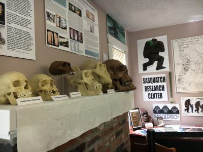 The Sasquatch Myth Continues with New Exhibit | A&E | southsoundmag.com