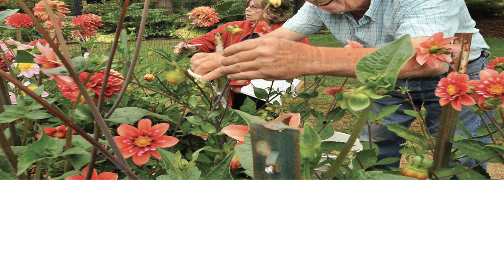 Point Defiance Flower & Garden Festival Returns in June | Home + Garden ...