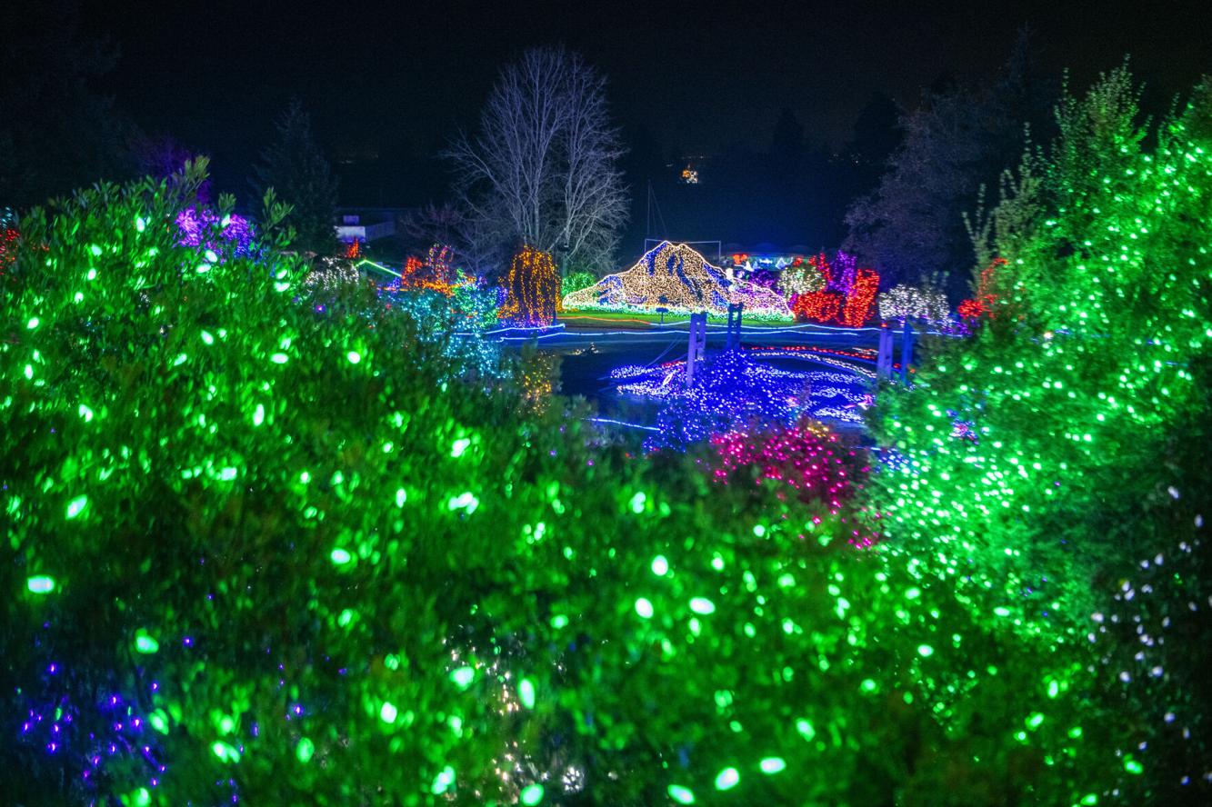 Zoolights Returns to PDZA with New Options | Culture + Life ...