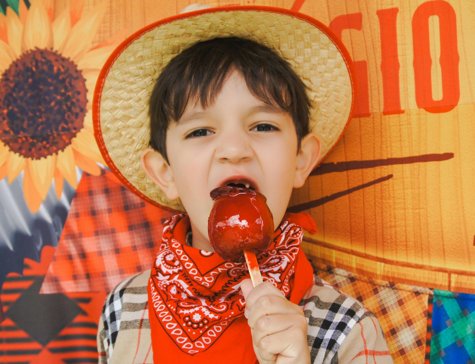 Pierce County Fair Returns to Graham in August | Culture + Life ...