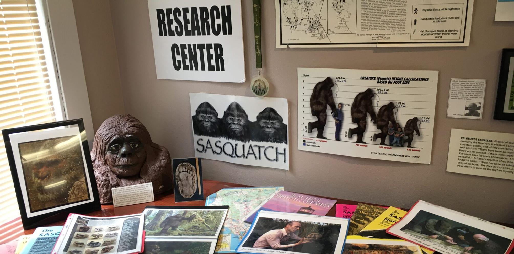 The Sasquatch Myth Continues with New Exhibit | A&E | southsoundmag.com