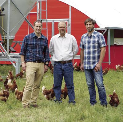 Eggs-traordinary Omega-3 Eggs from Wilcox Farms | Eat + Drink ...