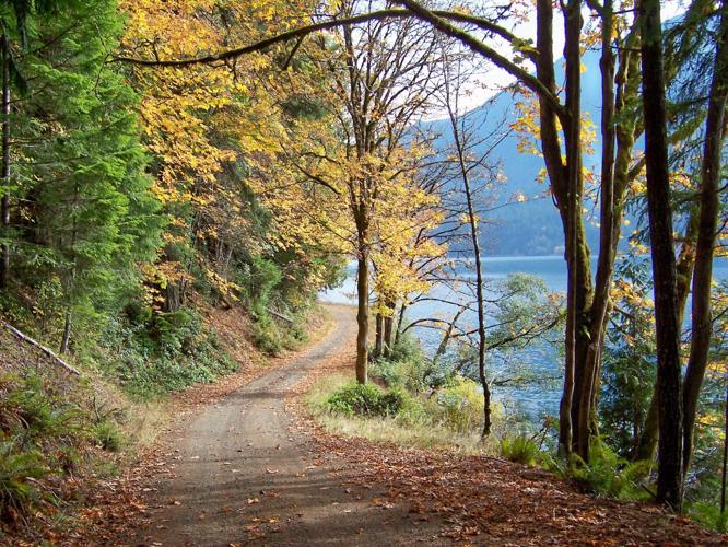 Fall Adventures at the Olympic Peninsula | Travel + Outdoors ...