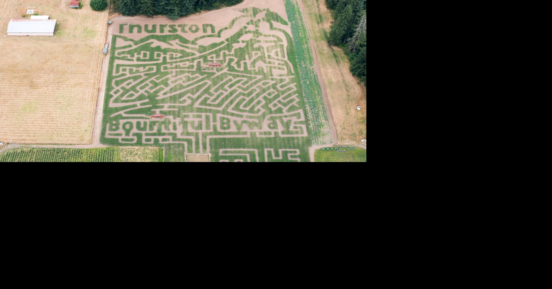 Rutledge Corn Maze Wows Visitors With Unique Design | Travel + Outdoors ...
