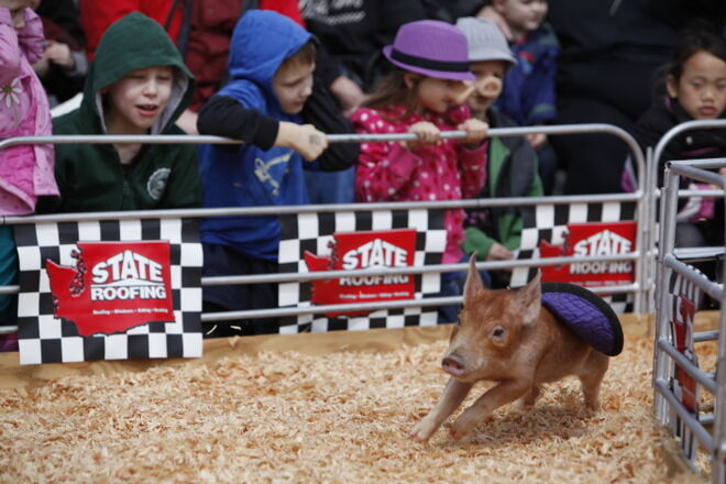 Get Ready for the Puyallup Spring Fair! | A&E | southsoundmag.com