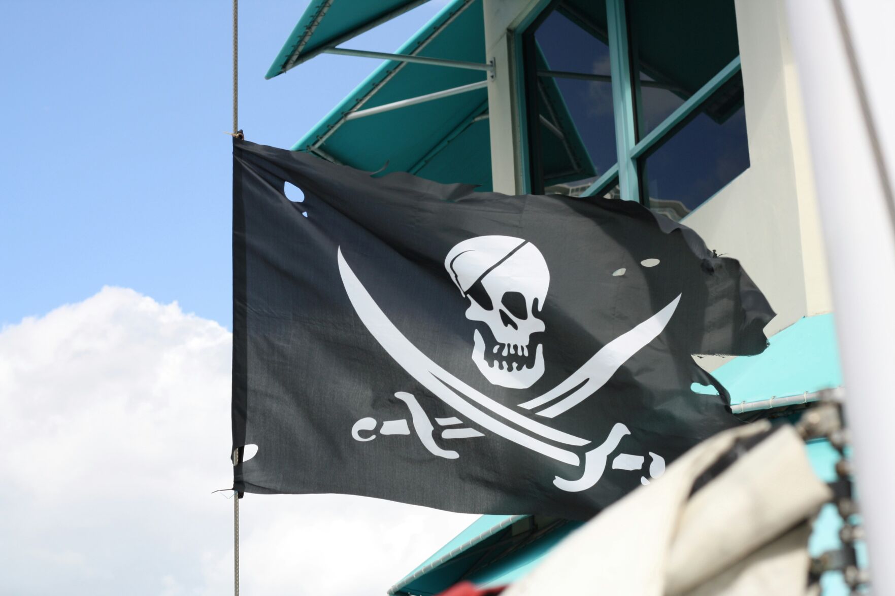 Feel Good Friday: Pirate Fun, Giving, and a Resource Fair | Culture ...