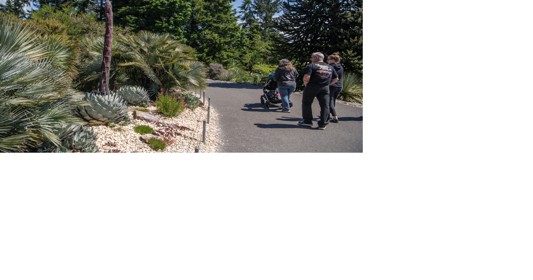 A ‘Unicorn’ Event at Tacoma’s Point Defiance Zoo & Aquarium | Home ...