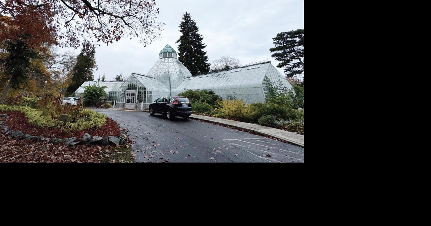 Out & About: Flowers, Film Festival, and FriendsWithYou | Culture ...