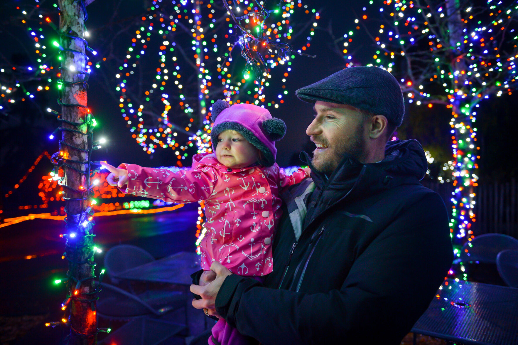 Zoolights Returns to Light Up Point Defiance Zoo’s Night Sky | A&E ...