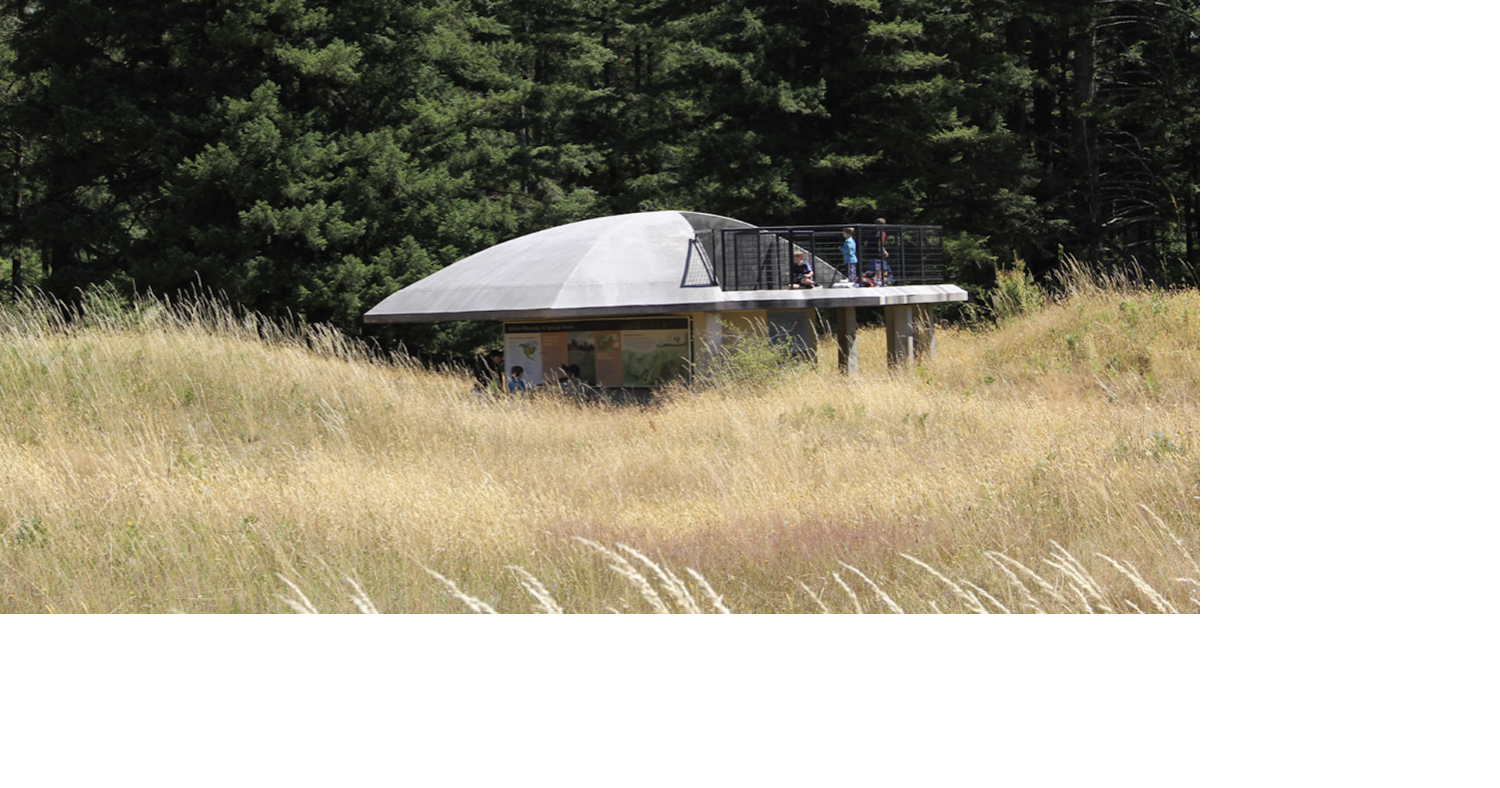 Investigating the Mysterious Mima Mounds | Profiles | southsoundmag.com