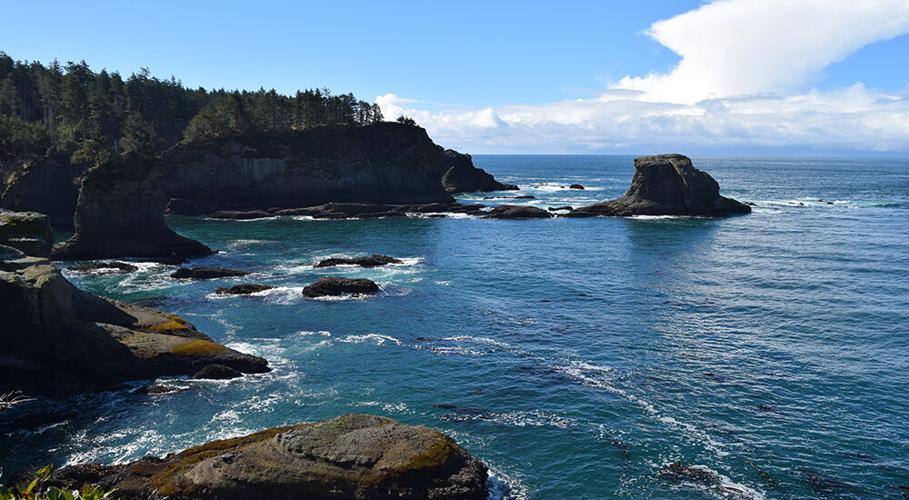 cape flattery