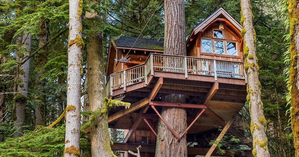 You Can Own a TV Famous Treehouse | A&E | southsoundmag.com