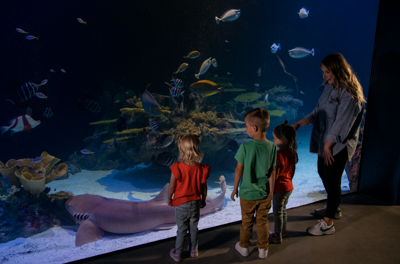 FGF: PDZA's Reef Aquarium, Hunger Relief, and Scholarships | A&E ...