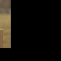 Joel Donald Jackson Jr. | San Patricio County | southtexasnews.com