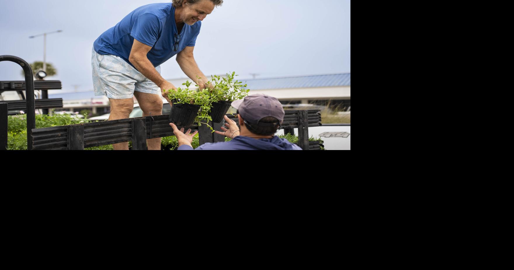 Project YaRen plant giveaway provides community, conversation | San ...