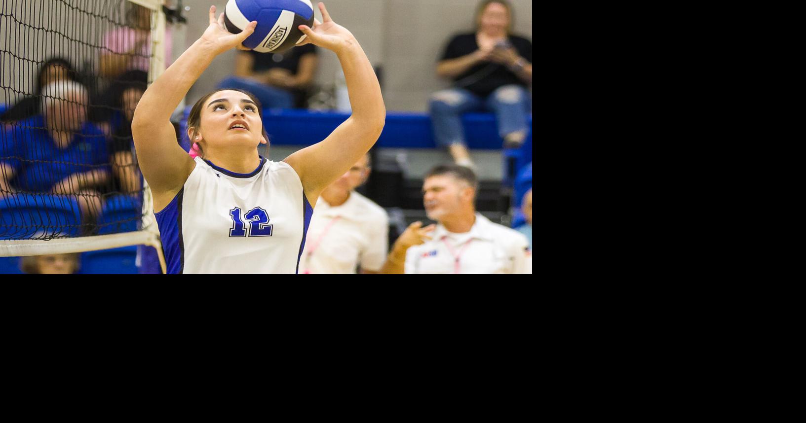 Lady Horns earn all-district recognition | The Progress ...