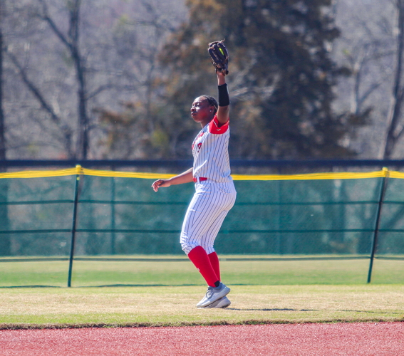 Lady Panthers split two-game Friday slate in Franklin tournament | Home ...
