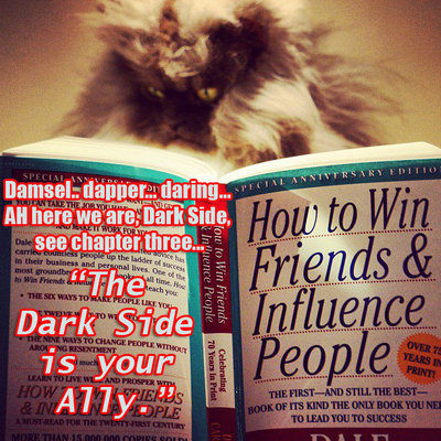 Furriday Meowmorial: Colonel Meow, furry feline web star, has died ...
