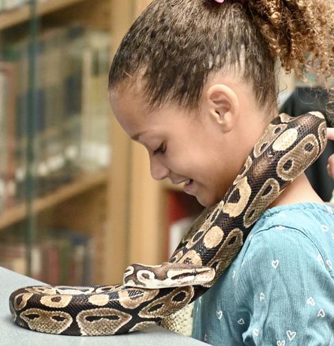 SNAKES ALIVE! | Refugio County Press | southtexasnews.com