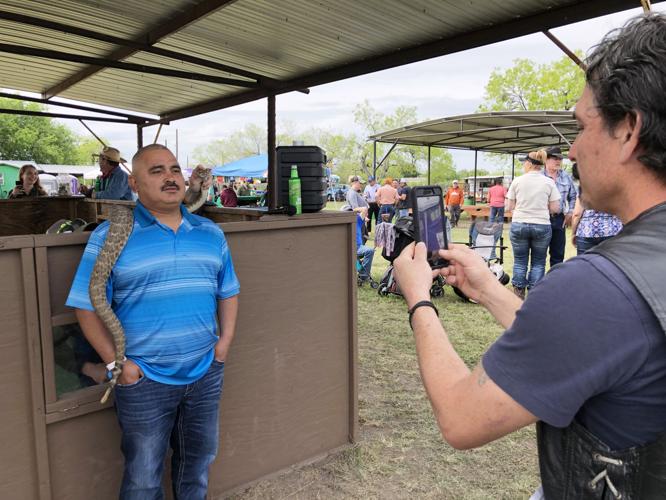 The snakes slithered, a winner was crowned at 47th rattlesnake races ...