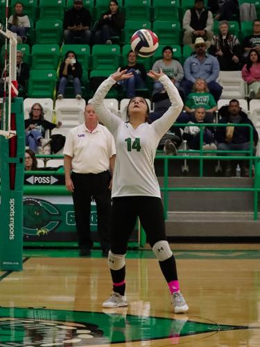 Lady Eagles committed to success | Refugio County Press ...