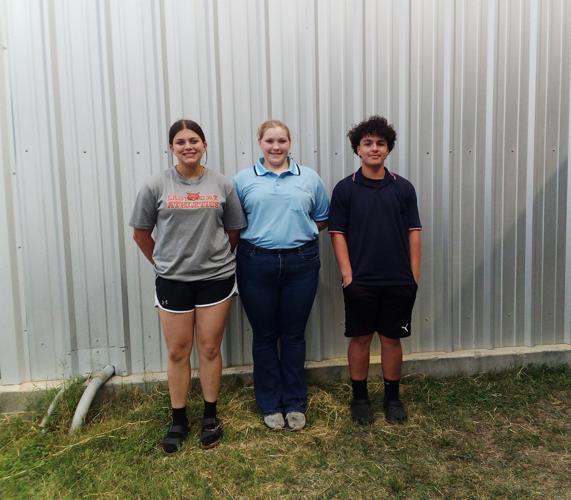 High school athletes step up to the plate | Refugio County Press ...