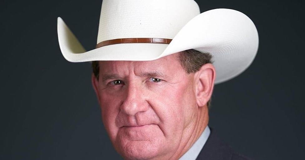 Louderback recommends county hold hearings, election regarding ...