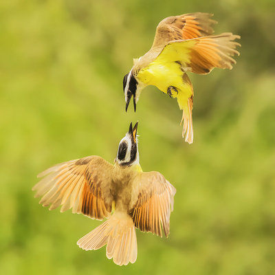 Beasley catches another photography award | News | southtexasnews.com
