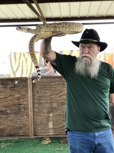The snakes slithered, a winner was crowned at 47th rattlesnake races ...