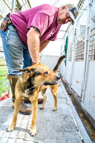 Fallen Horse Rescue founder lends hand to save Mathis’ other animals in ...