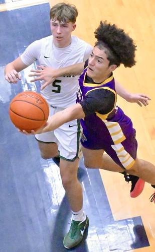 Panthers fall to SA Cole in regional semis | San Patricio County ...