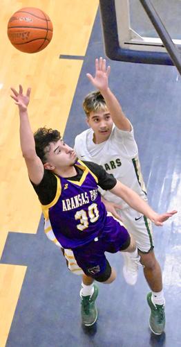 Panthers fall to SA Cole in regional semis | San Patricio County ...