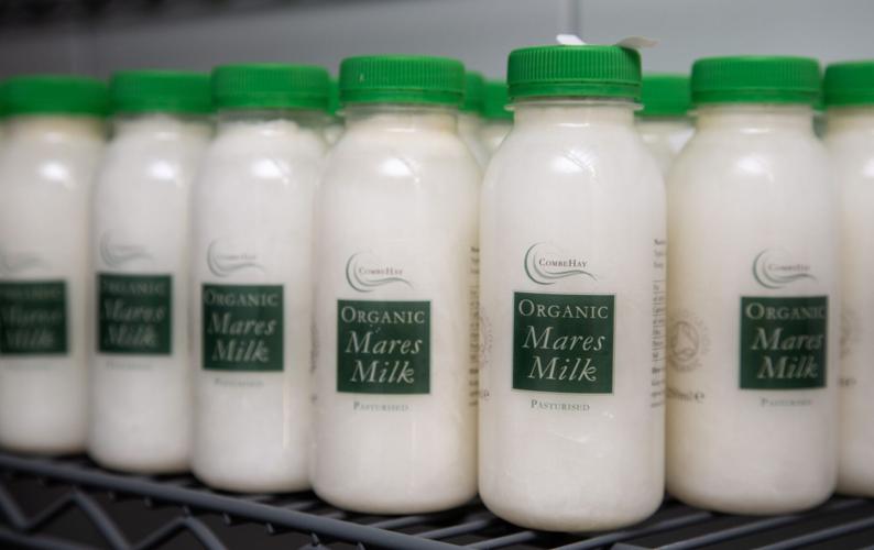 Farmer produces world’s most expensive milk | | southtexasnews.com