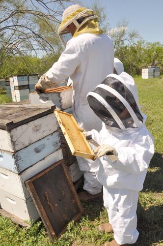 Buzzin’ around Beeville with the Bee Jamboree | Features ...