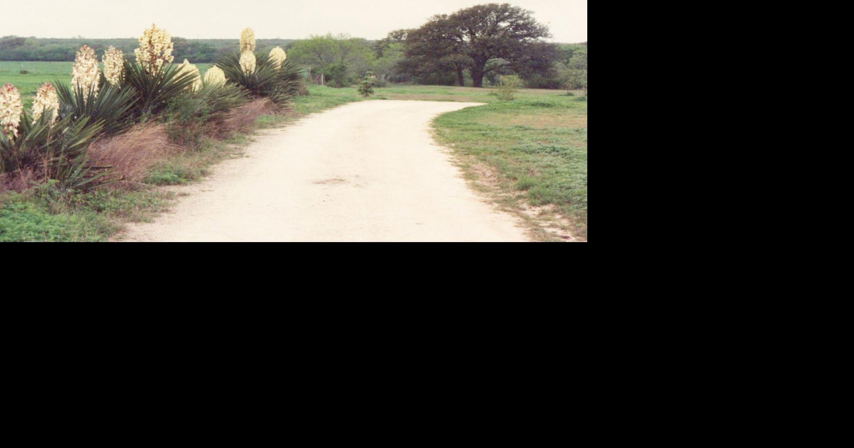 Following the old caliche road | Features | southtexasnews.com