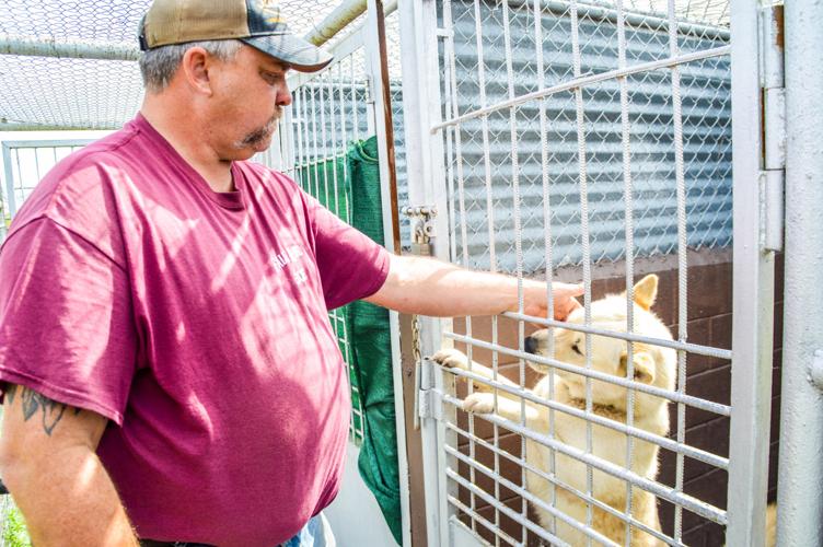 Fallen Horse Rescue founder lends hand to save Mathis’ other animals in ...