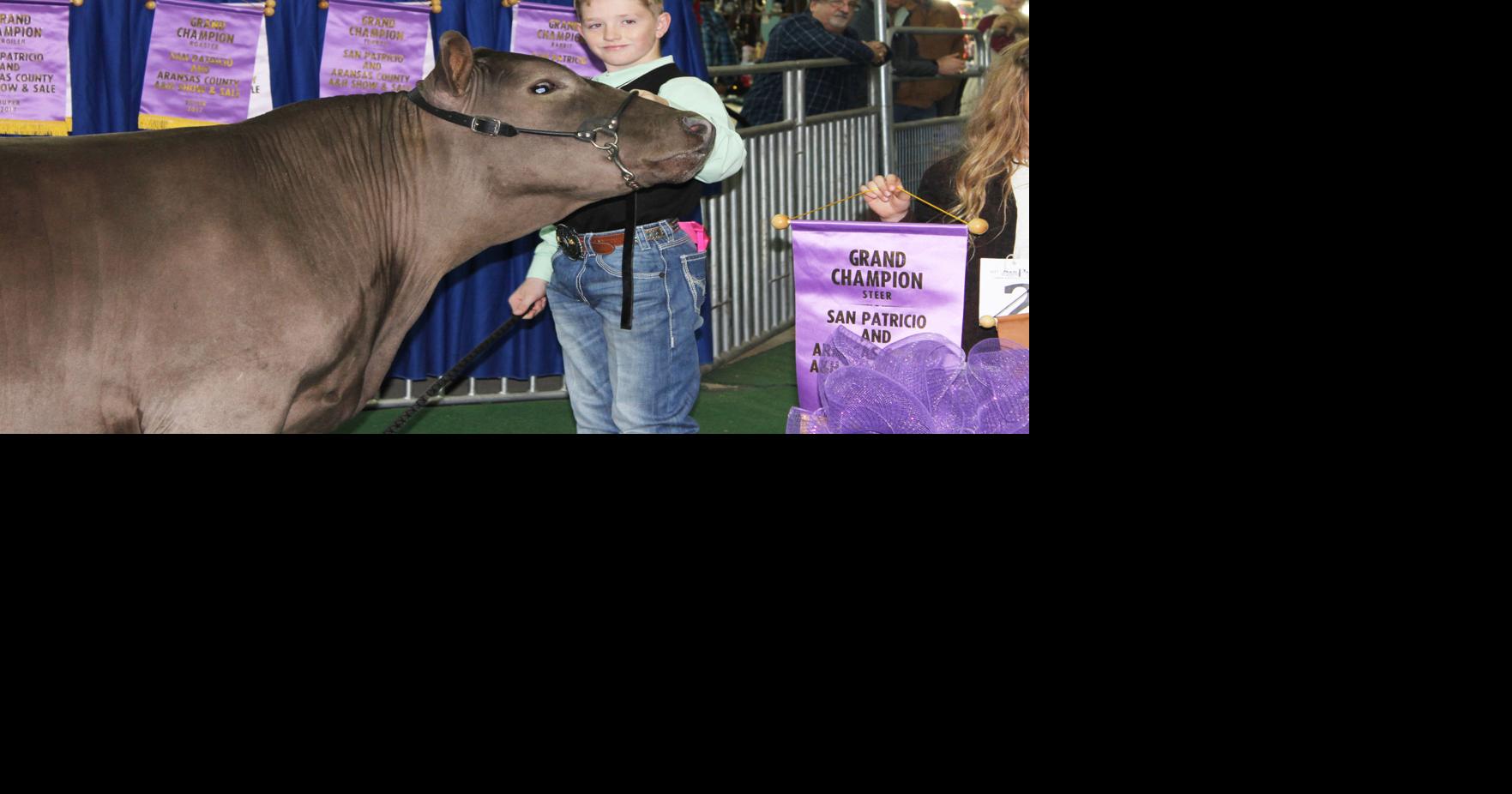 Annual A&H Show kicks off this week | Features | southtexasnews.com